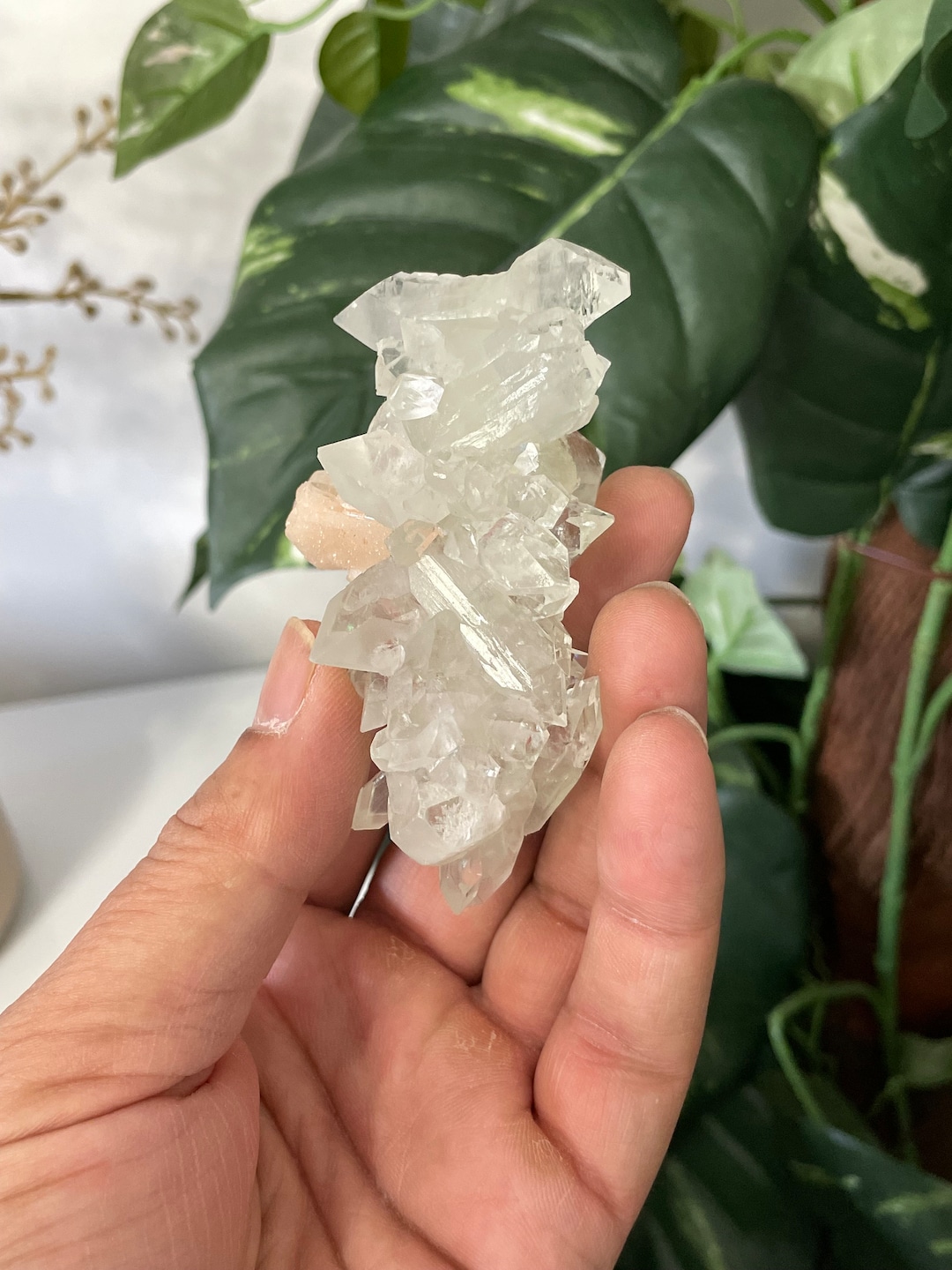 Stalactite Apophyllite Cluster Pointed DT Crystal A502a - Etsy