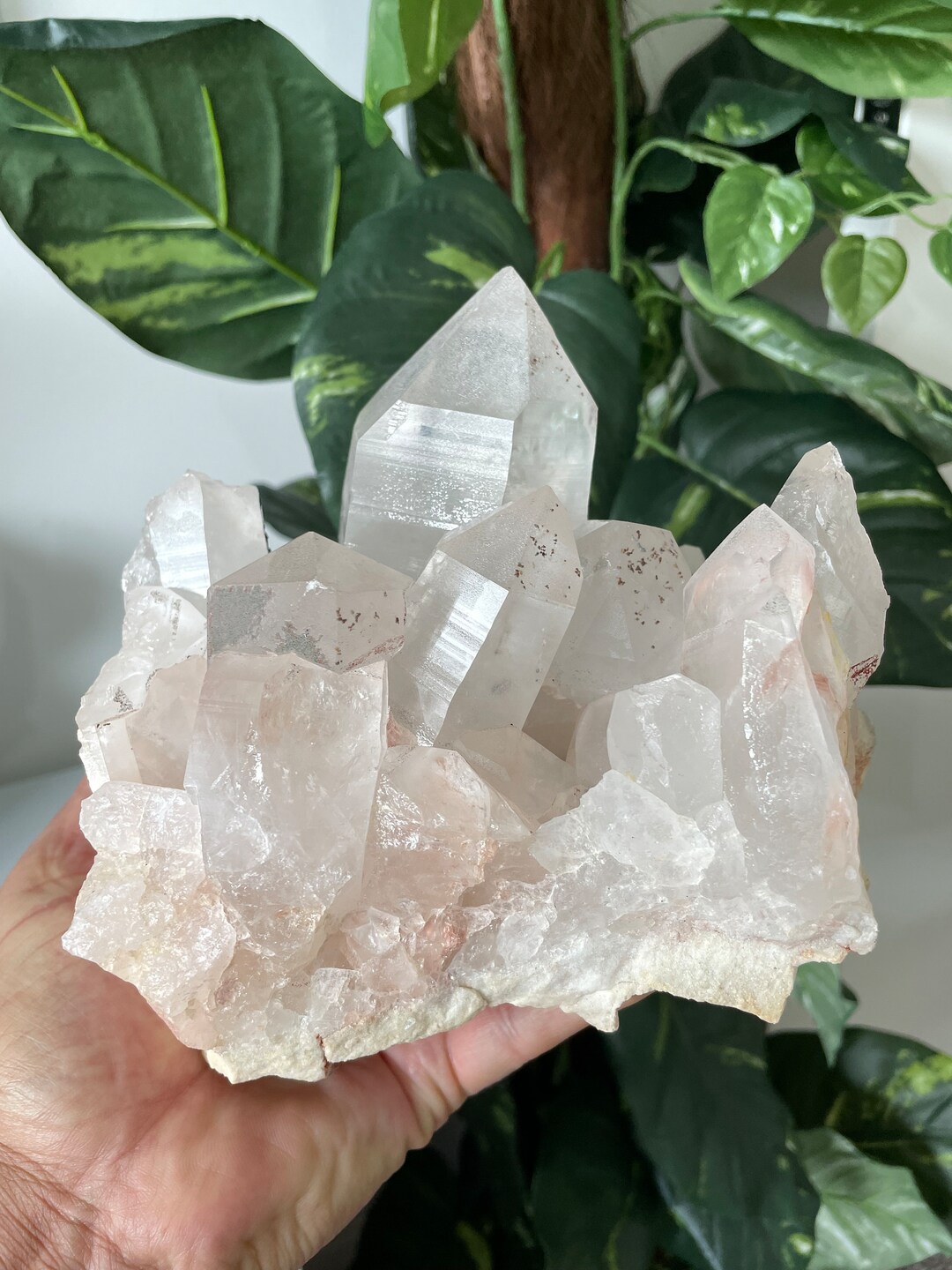 Large Himalayan Quartz Cluster Natural Q219a - Etsy