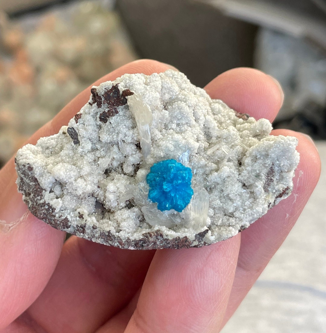 Cavansite Rare Crystal on Zeolite Basalt CV014 - Etsy