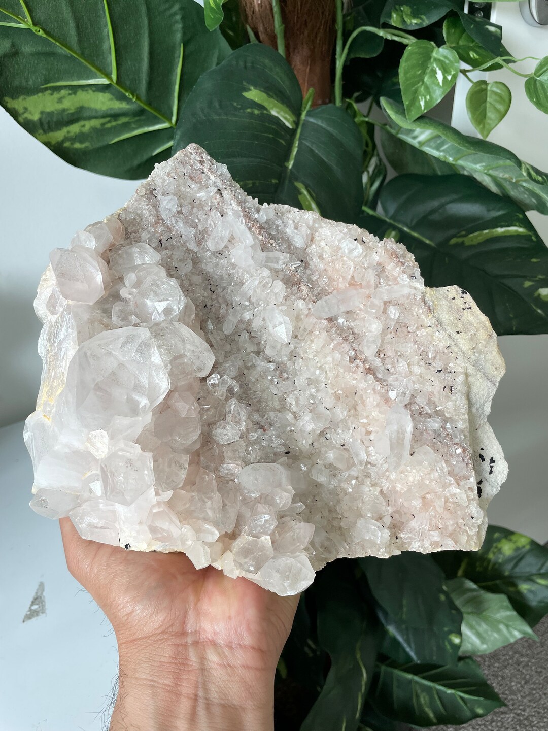 Large Himalayan Quartz Cluster Natural Q220a - Etsy