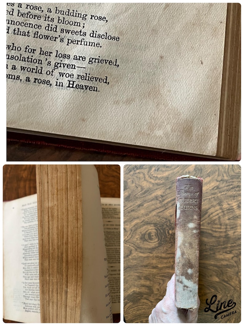 Vintage Robert Burns Poetry Book: the Chandos Classics, Scottish Songs ...