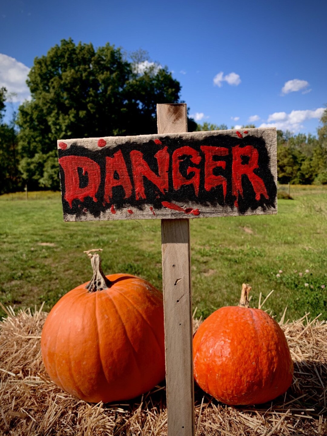 DANGER Halloween Outdoor Sign Rustic Sidewalk Decoration - Etsy