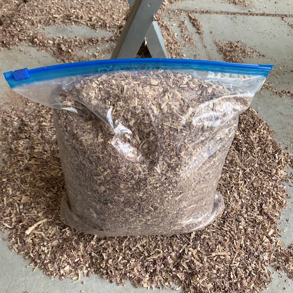 Black Walnut Slices - Etsy