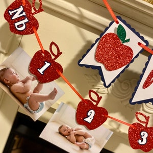Apple Birthday Decorations, Apple Photo Banner Apple High Chair Banner ...