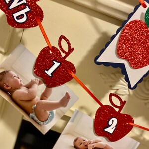 Apple Birthday Decorations, Apple Photo Banner Apple High Chair Banner ...