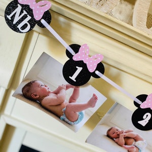 Minnie Mouse Monthly Photo Banner, First Birthday Photo Banner,minnie ...