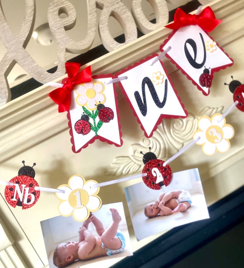 Ladybug First Birthday Photo Banner, Milestone Garland - Etsy