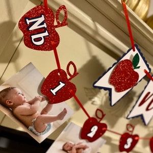 Apple Birthday Decorations, Apple Photo Banner Apple High Chair Banner ...