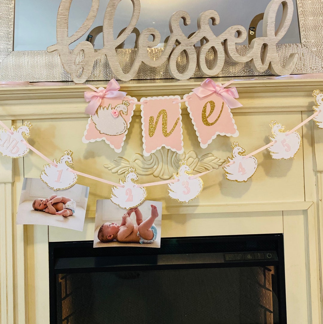 Swan Princess Birthday Party, Once Upon a Time Banner, Swan Princess ...