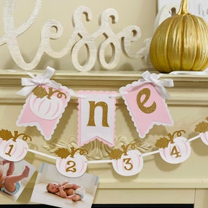 Pumpkin Birthday Decorations, Pumpkin Photo Banner , Our Little Pumpkin ...