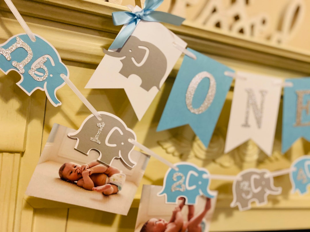 Elephant 12 Month Photo Banner, Elephant 1st Birthday Decorations ...