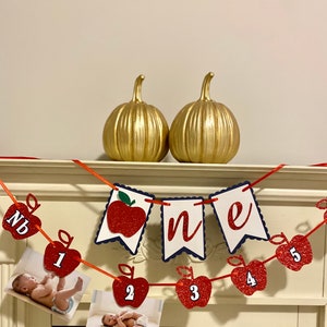 Apple Birthday Decorations, Apple Photo Banner Apple High Chair Banner ...