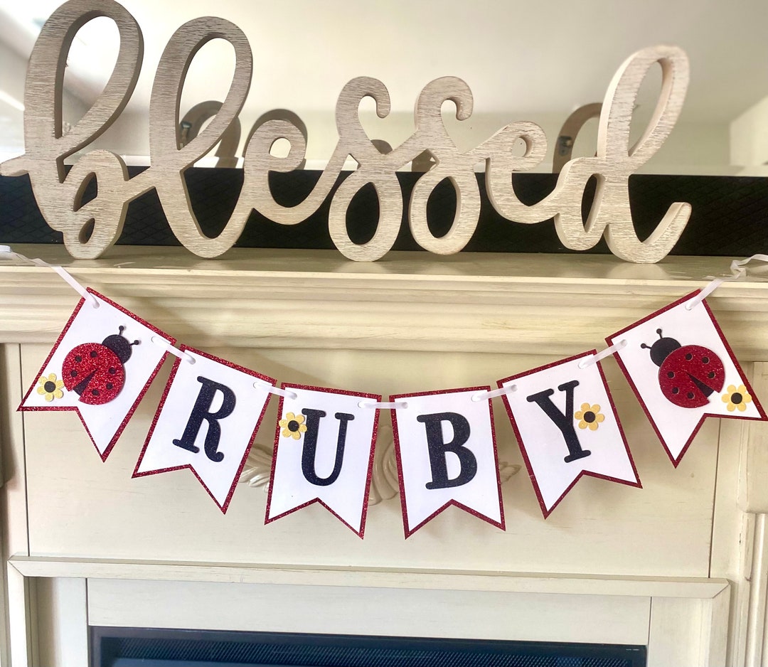 Ladybug 1st Birthday Banner: Personalized Girl Party Decor - Etsy