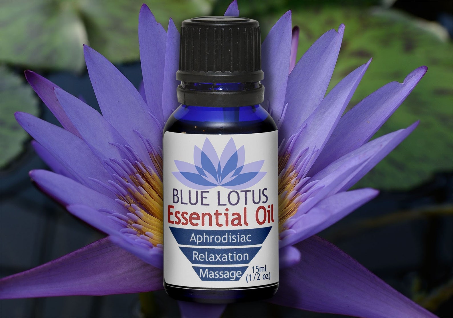 Blue Lotus Essential Oil Pure Uncut 15ml Free Shipping Etsy