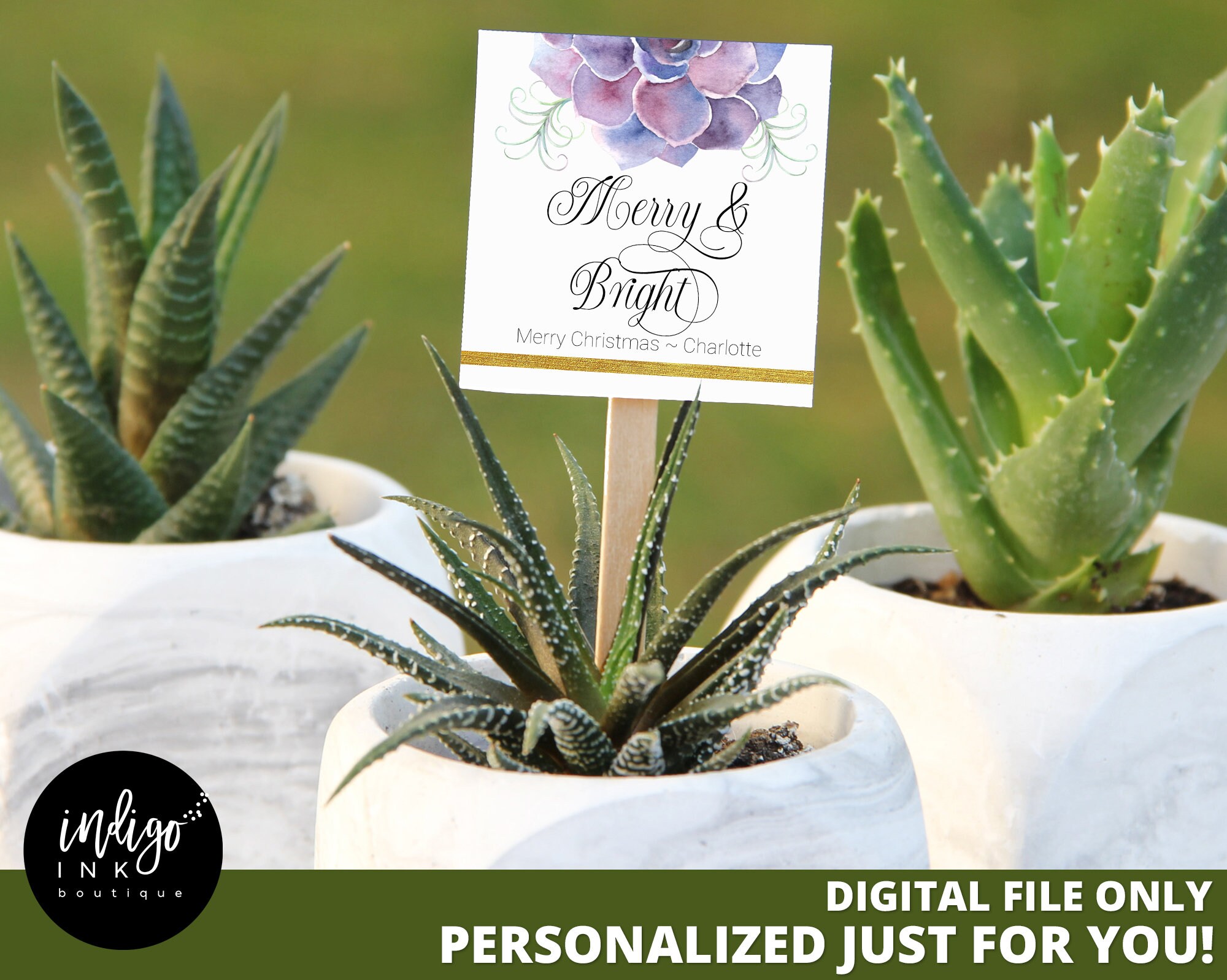 Succulent Tags PERSONALIZED DIGITAL Gift Tags Christmas Tags | Etsy