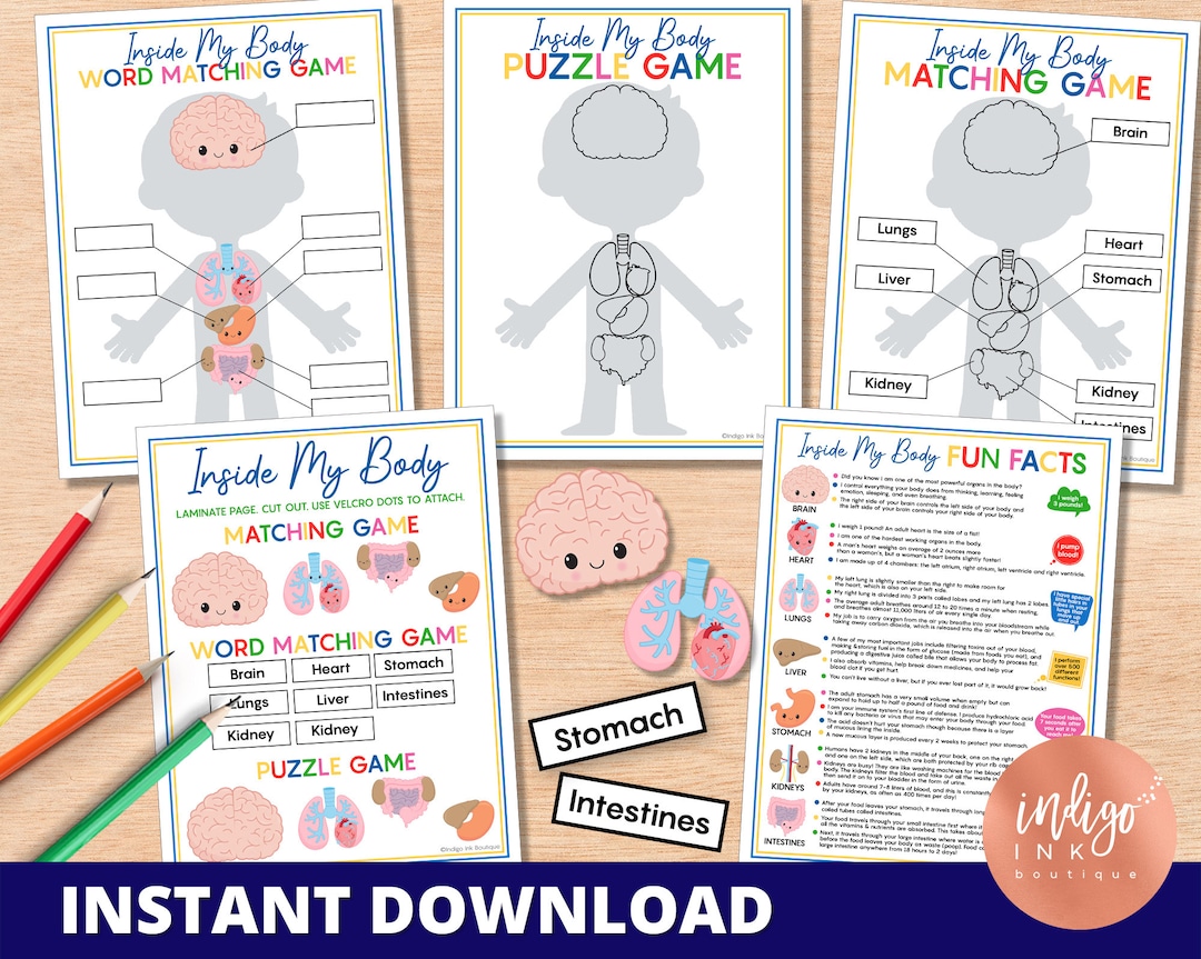 Inside My Body Science Worksheets INSTANT DOWNLOAD | Busy Book ...