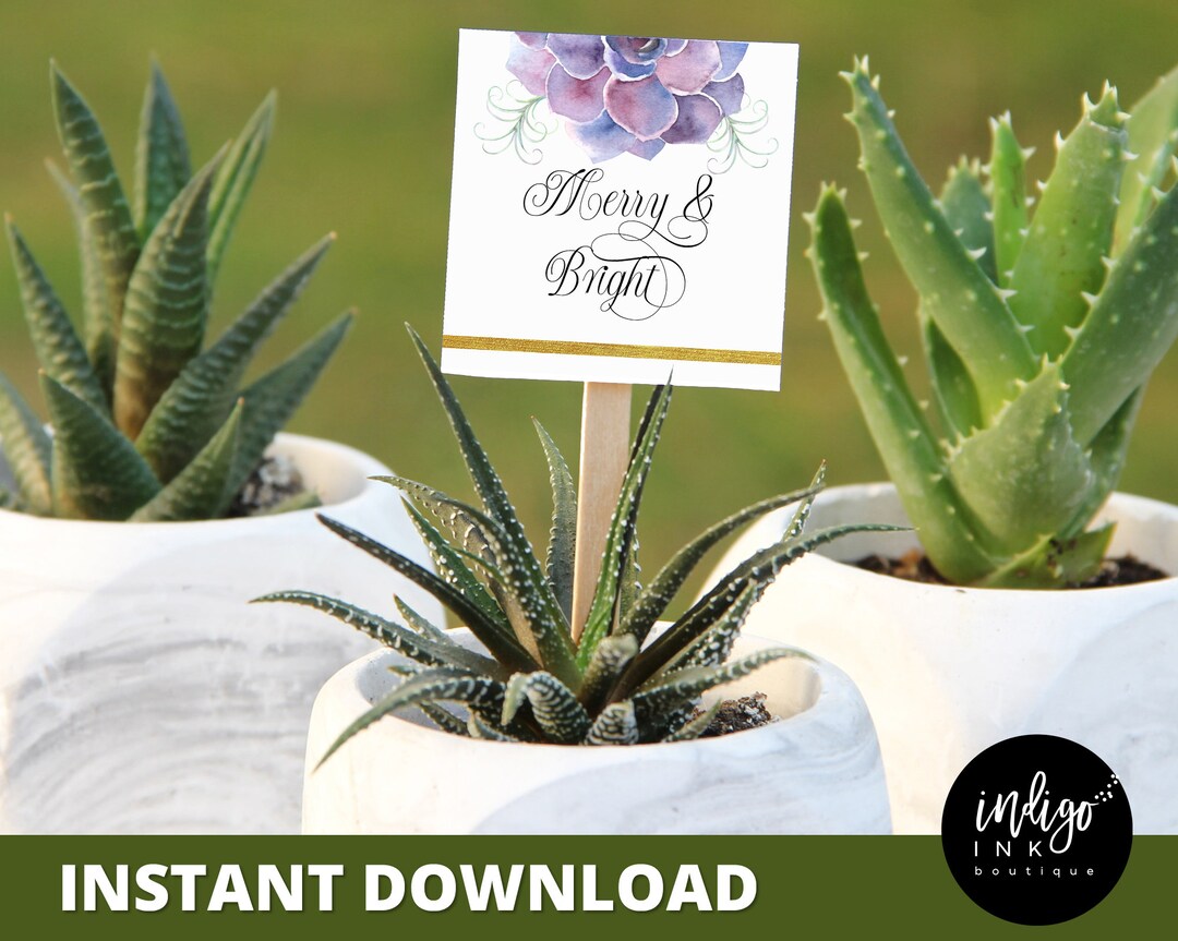 Christmas Cactus Tag INSTANT DOWNLOAD | Succulent Tags Printable ...