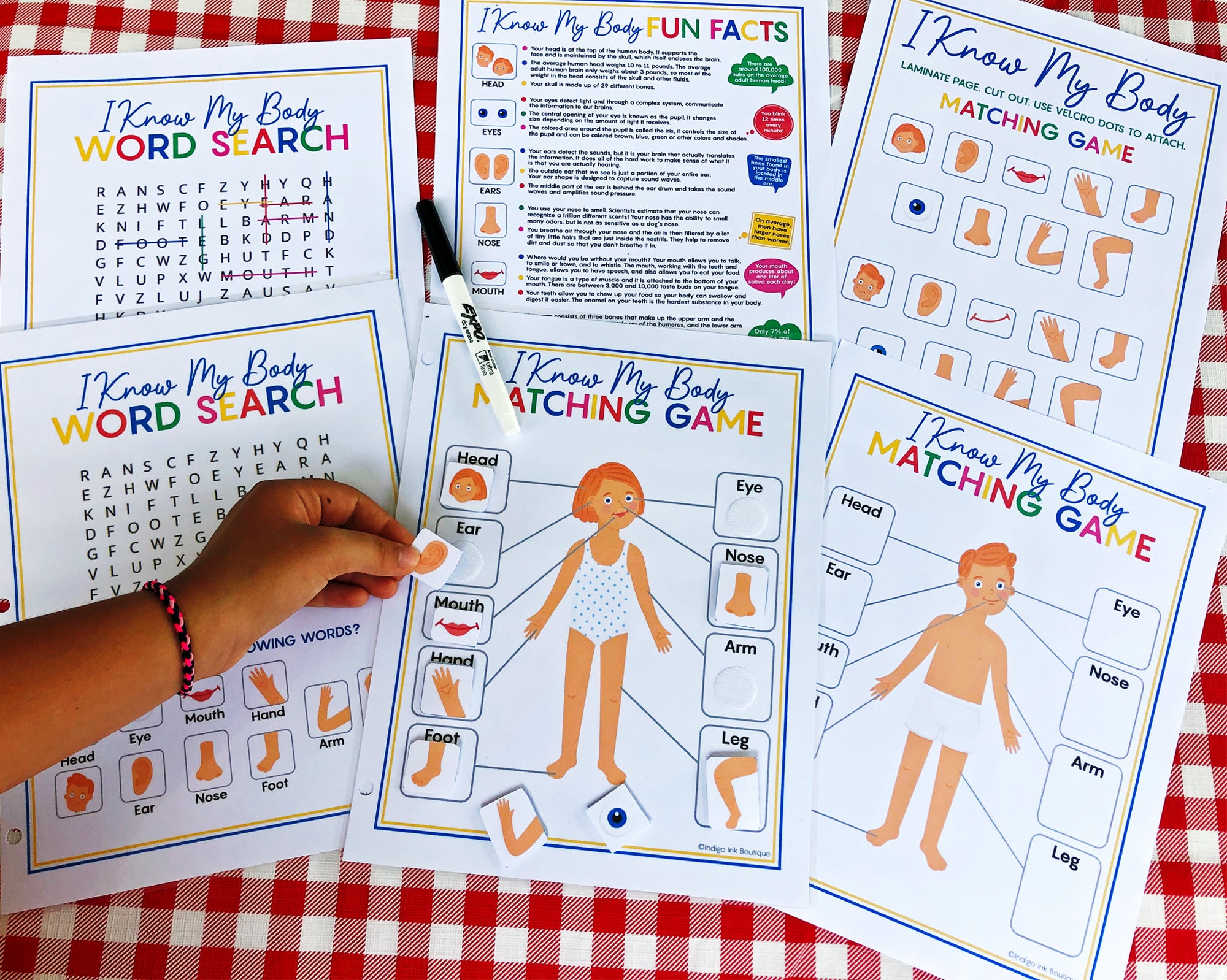 I Know My Body Science Worksheets INSTANT DOWNLOAD | Busy Book ...