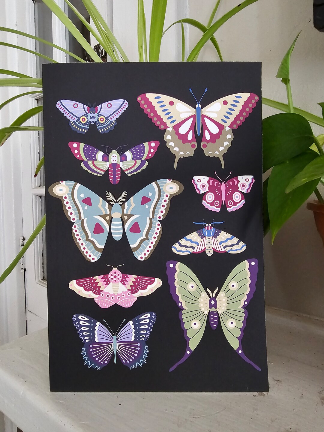 Find Your Light - Boho Butterfly & Moth Notebook - Etsy