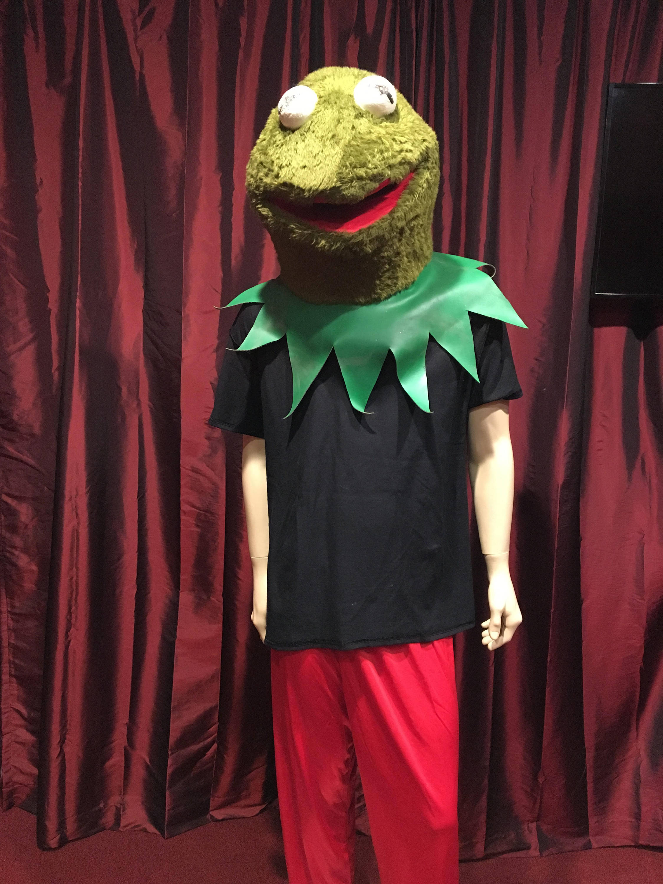 Green the Frog Mascot Head - Etsy