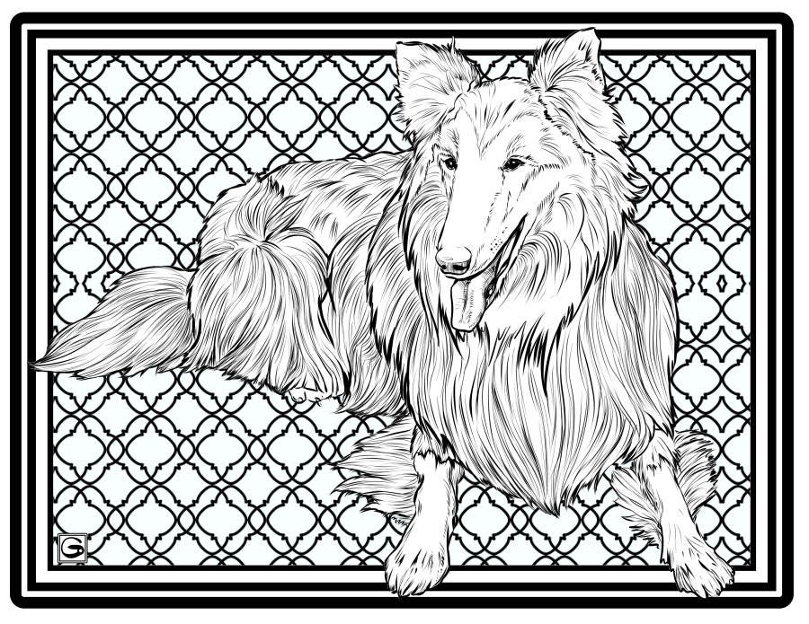 Collie Coloring Pages