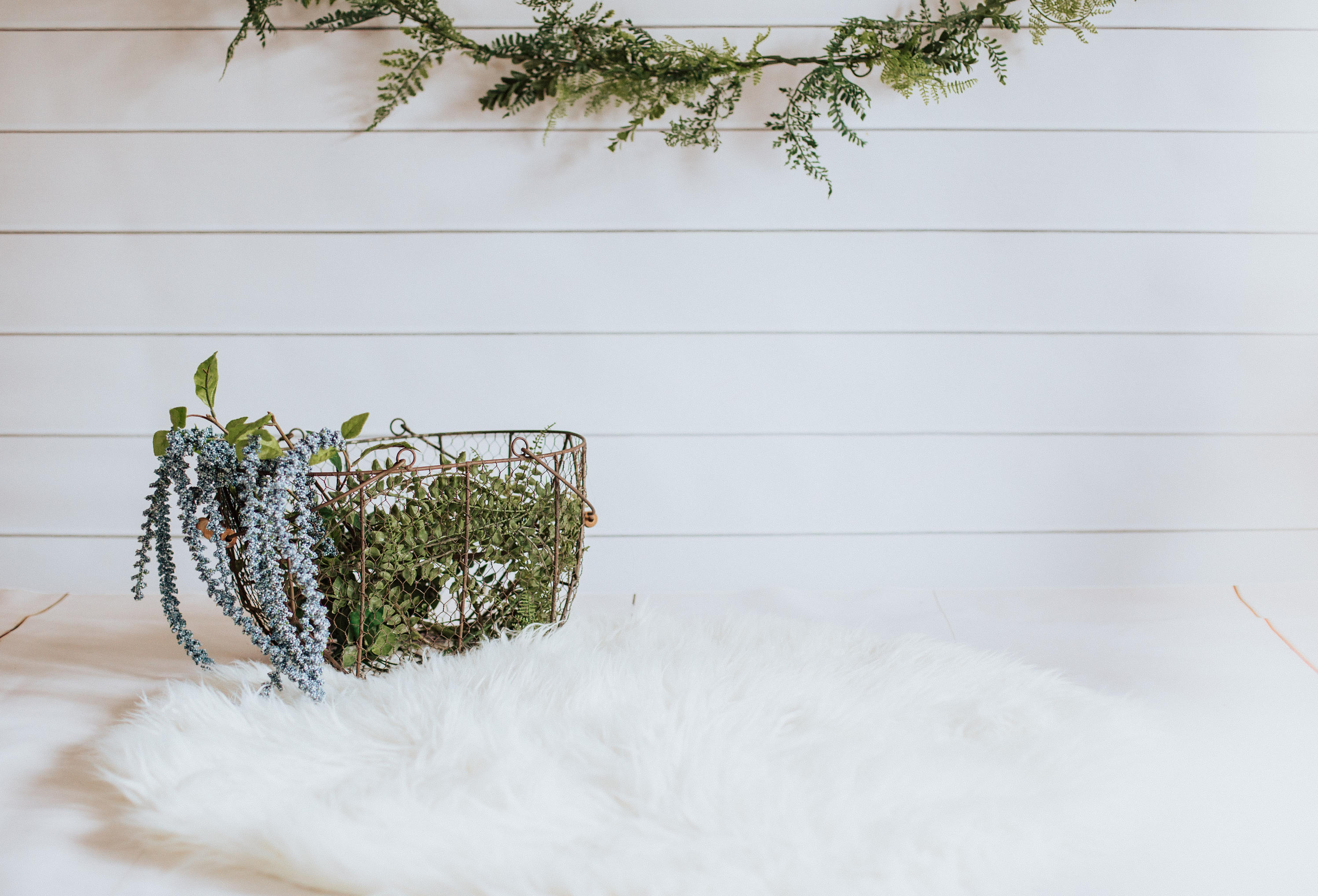 White Wood Digital Backdrop - Etsy