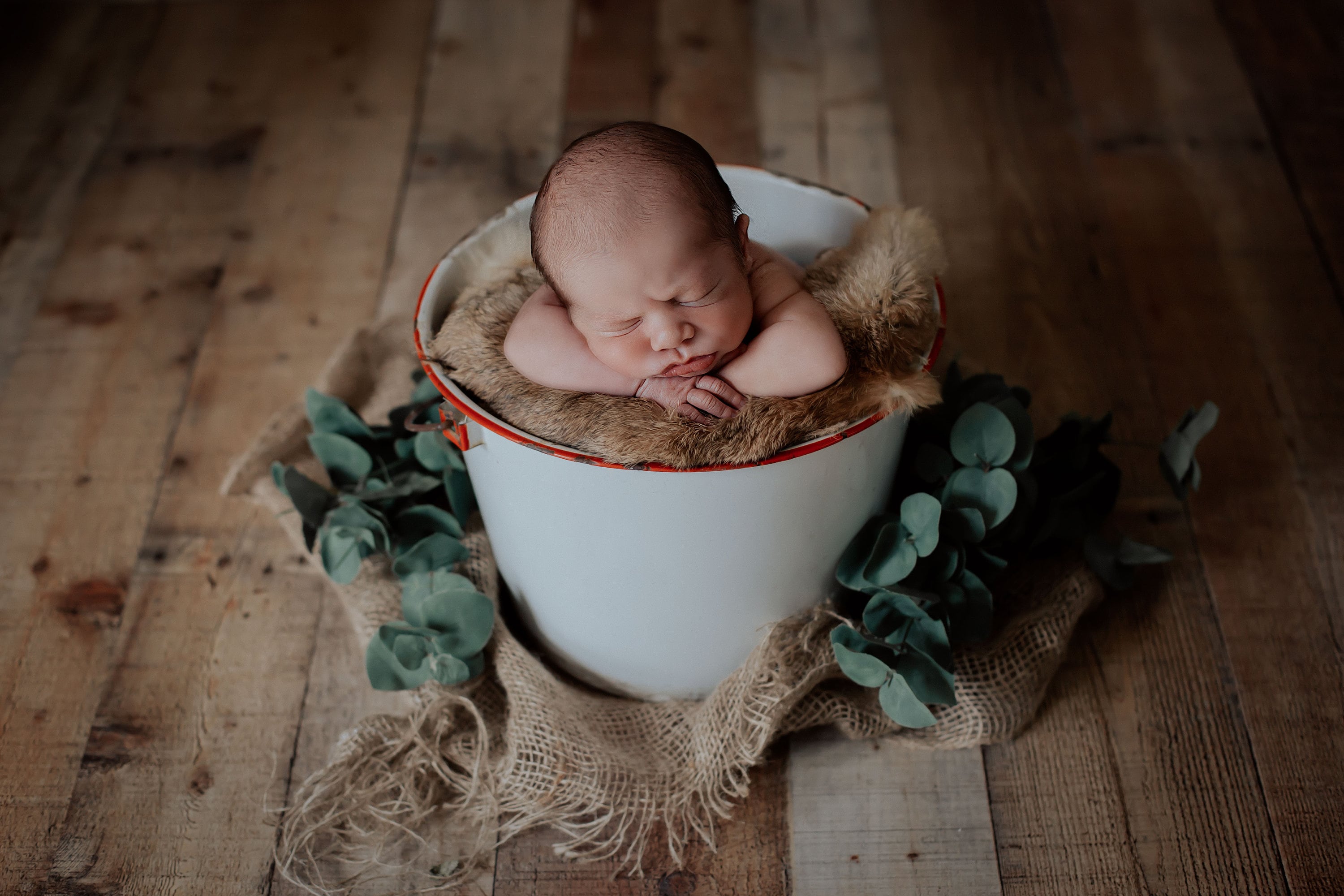 Photography Digital Backdrop - Etsy