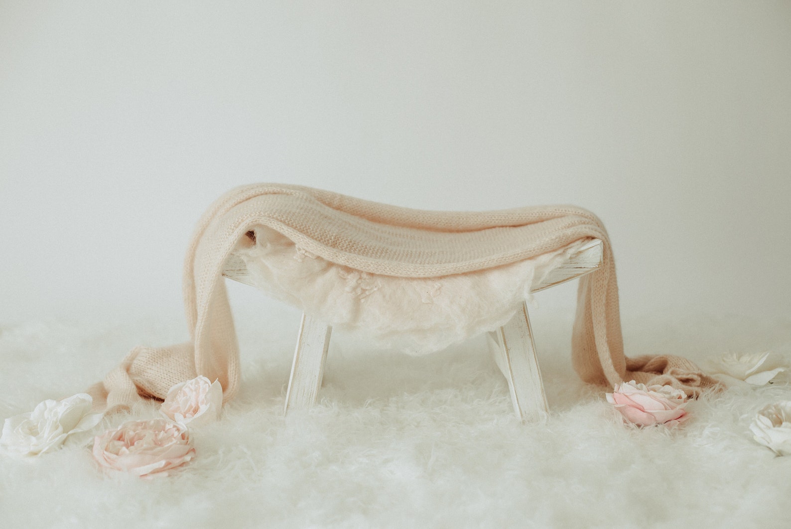 Digital Backdrop - Etsy