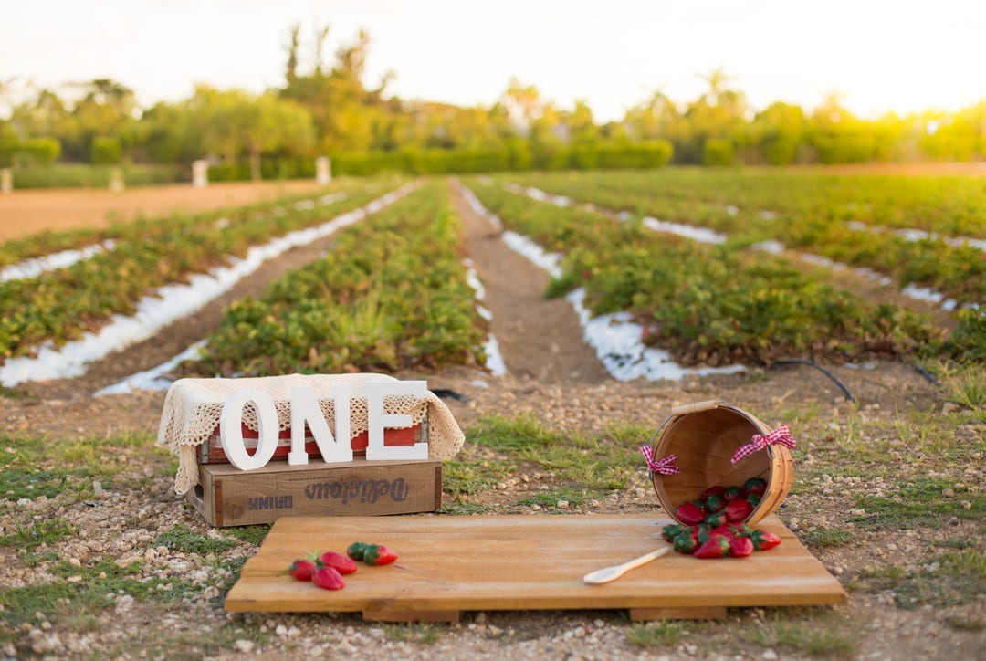 Strawberry Field Backdrop - Etsy