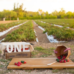 Strawberry Field Backdrop - Etsy
