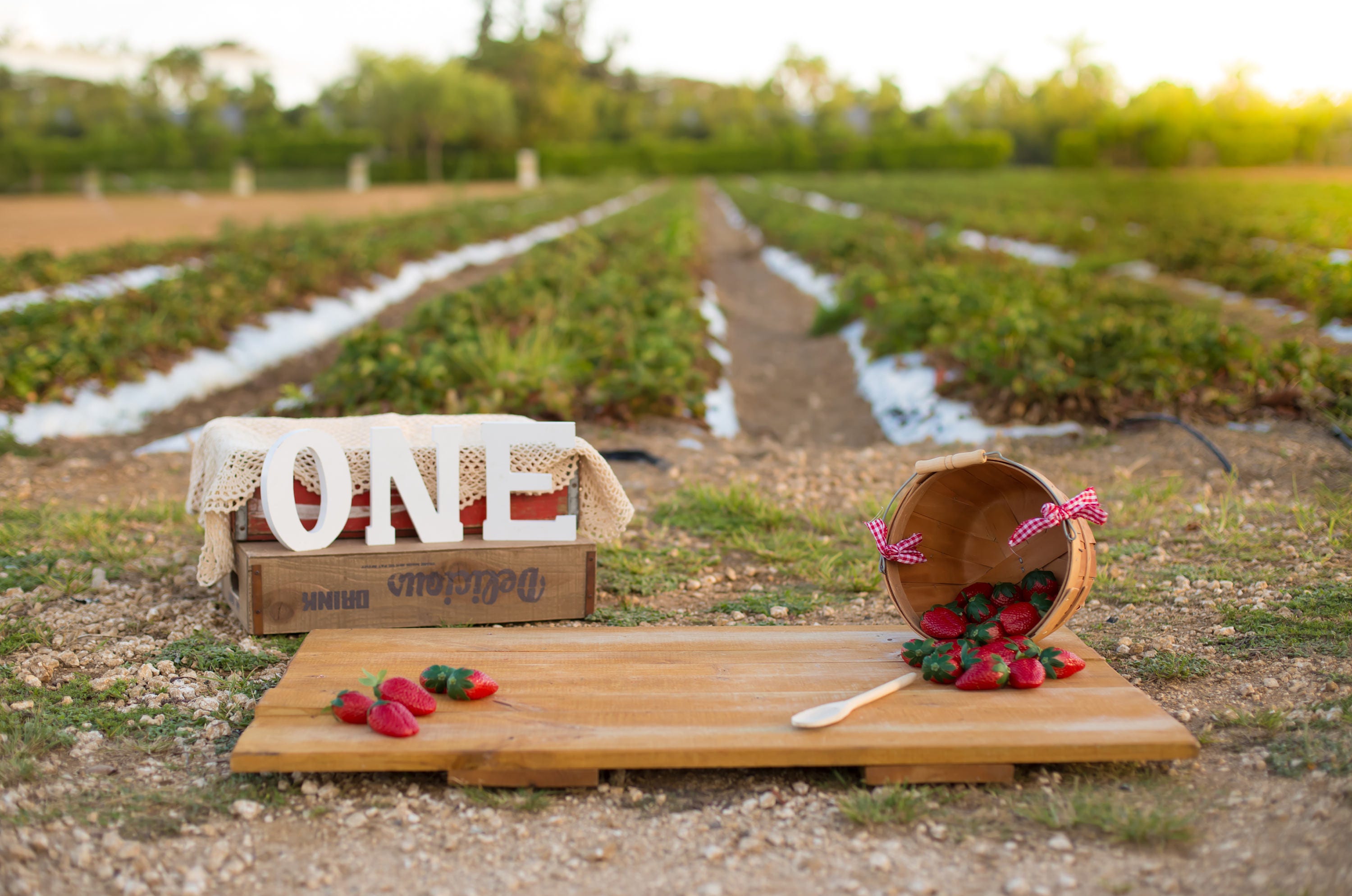 Strawberry Field Backdrop - Etsy
