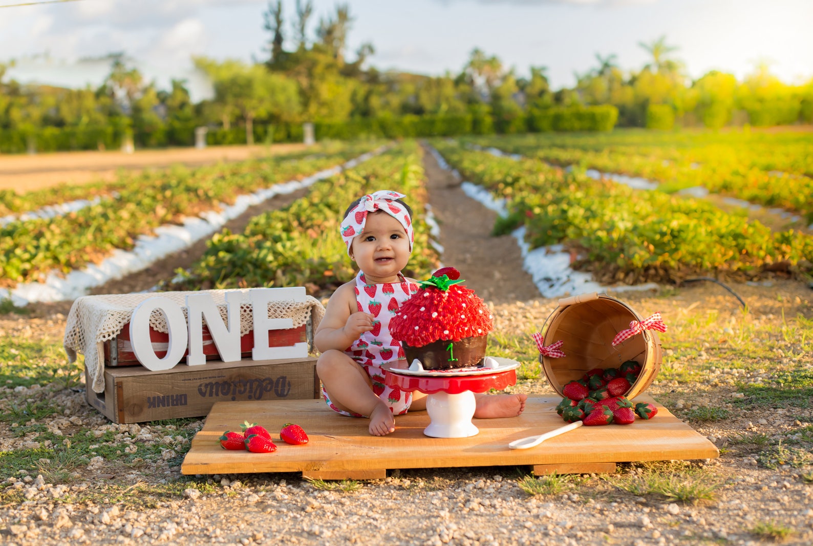 Strawberry Field Backdrop - Etsy