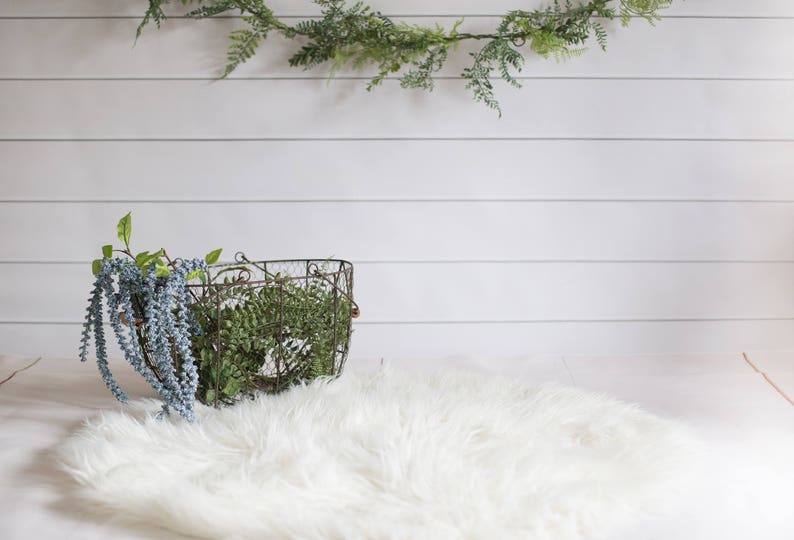 White Wood Digital Backdrop - Etsy