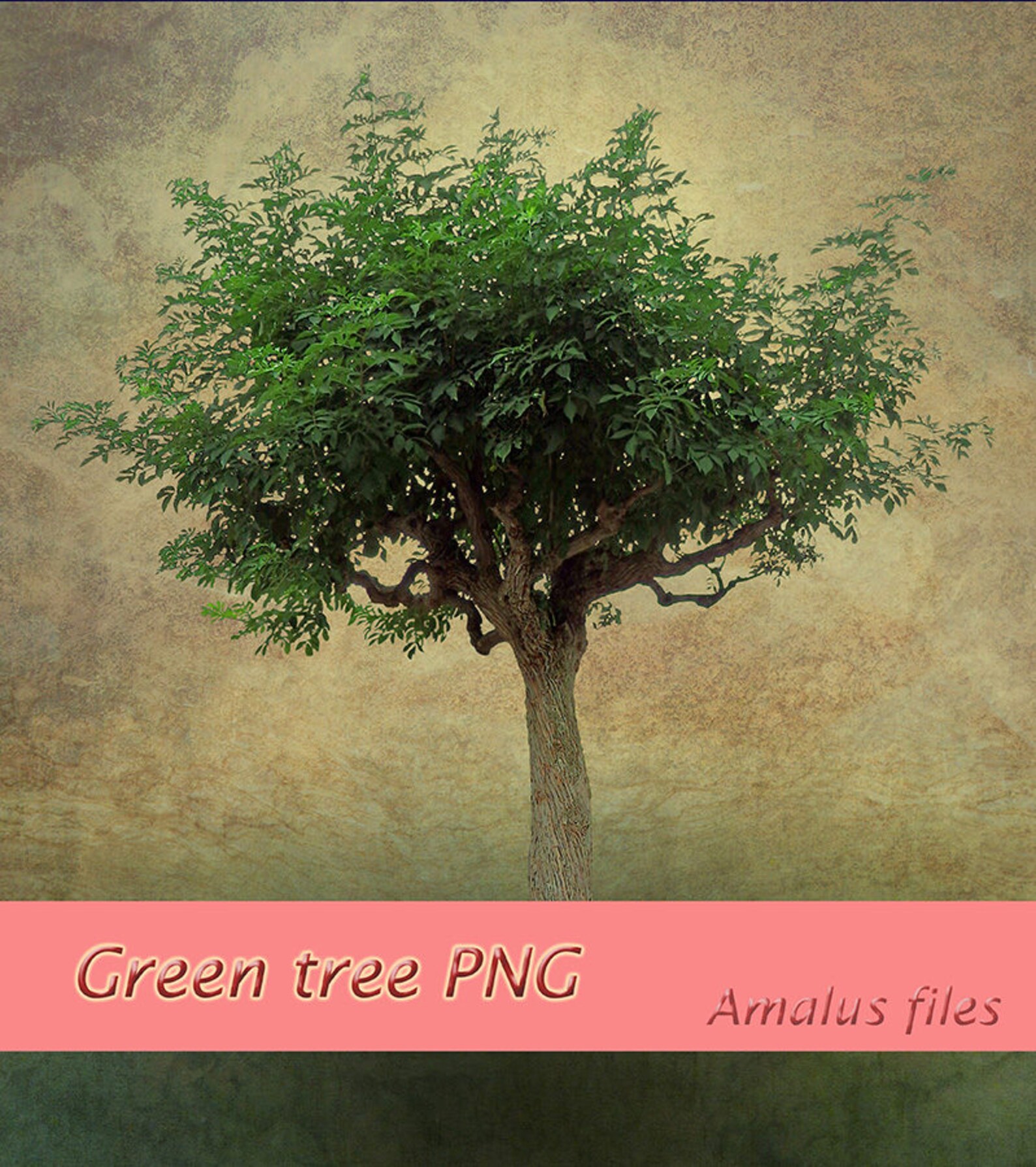 Green Tree PNG Tree Overlay Tree Clear Cut - Etsy