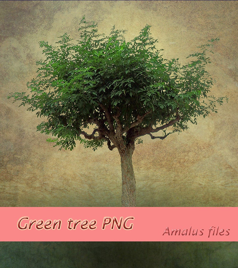 Green Tree PNG, Tree Overlay, Tree Clear Cut - Etsy