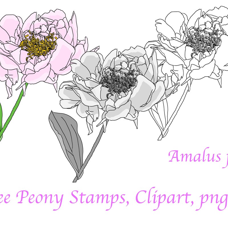 Colored Digital Stamps - Etsy