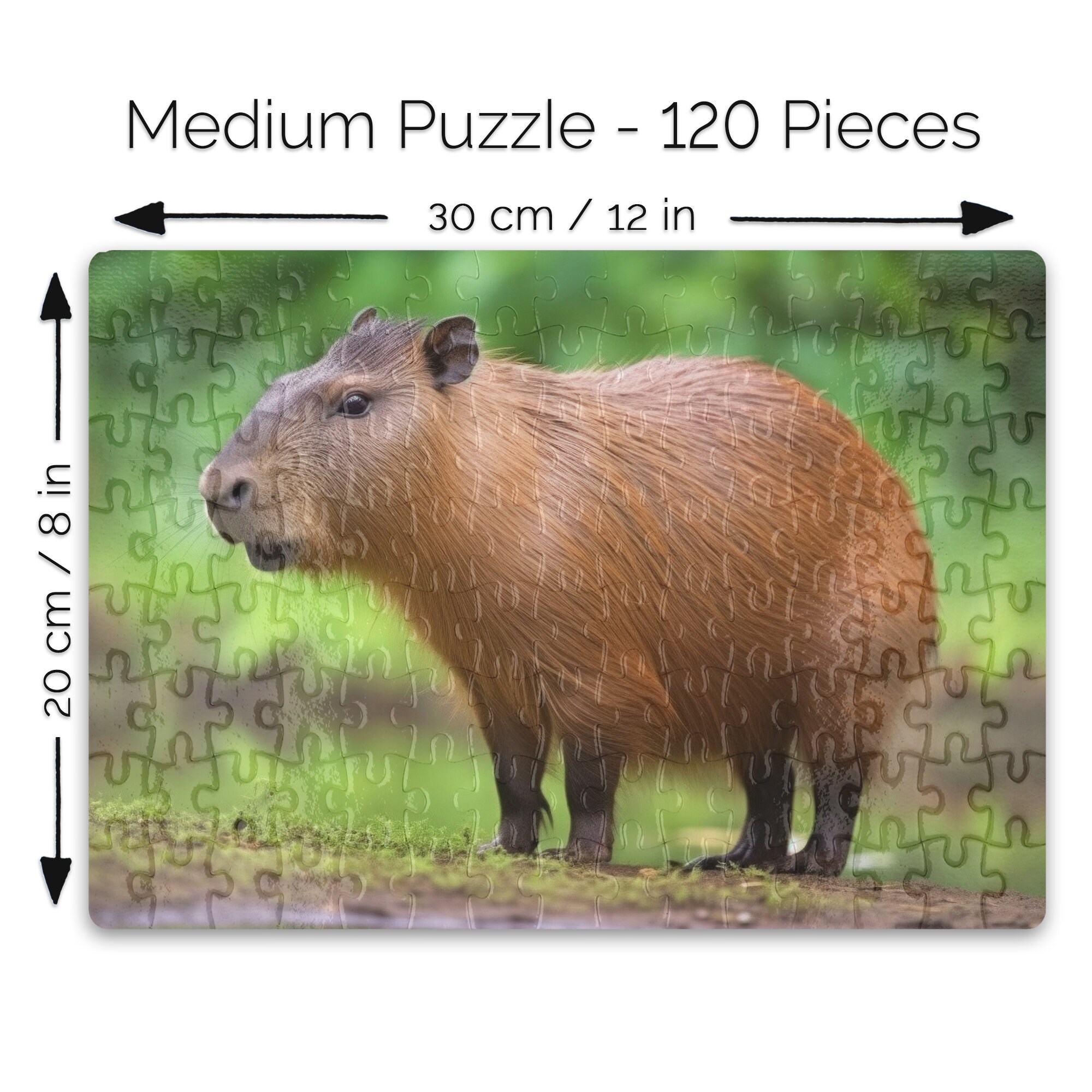 Capybara 300 Piece Jigsaw Puzzle Wild Animal Forest Nature - Etsy