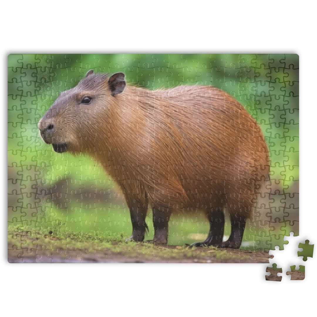 Capybara 300 Piece Jigsaw Puzzle Wild Animal Forest Nature - Etsy