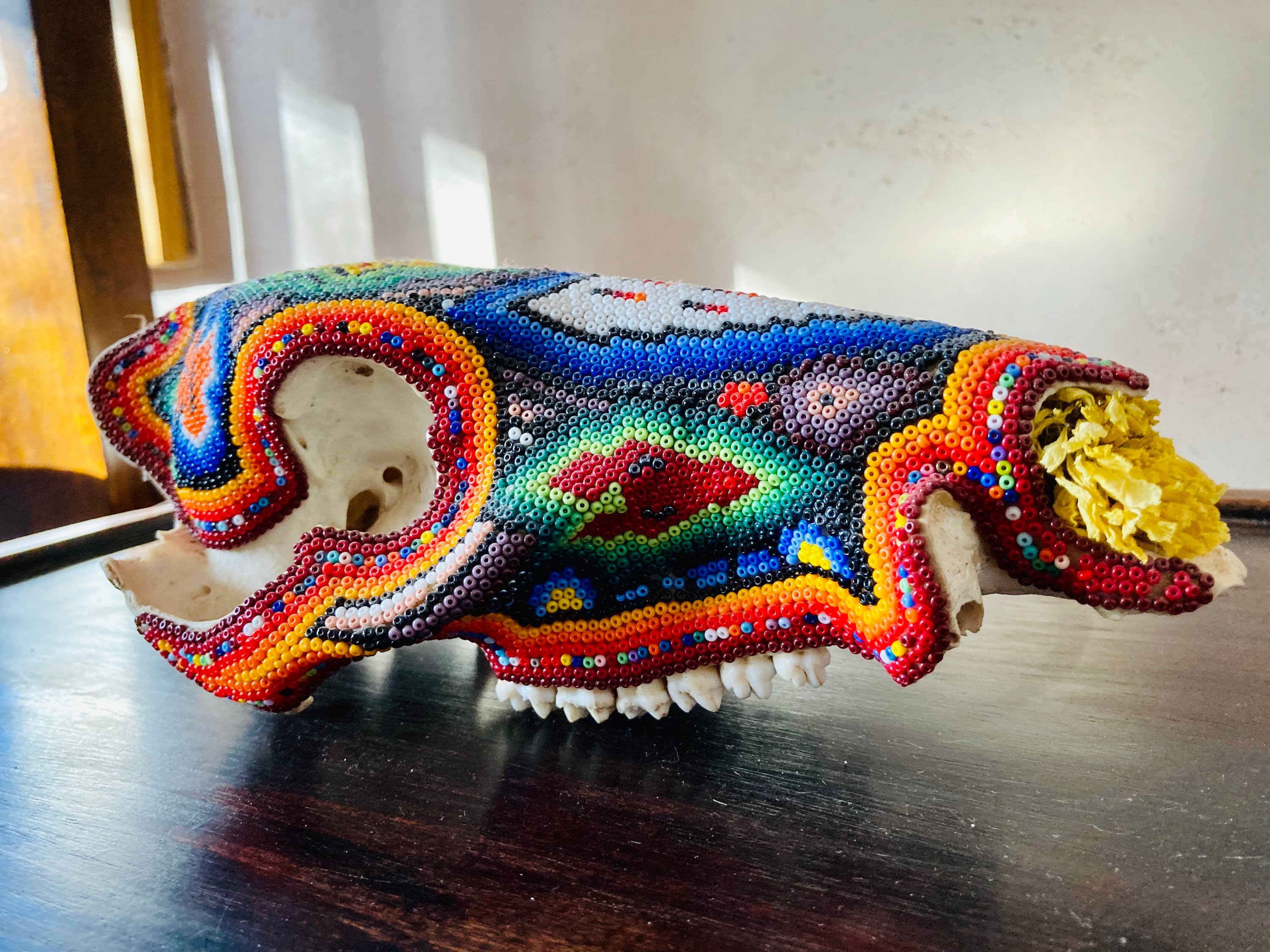 Huichol Beadwork>traditional Wixarika Art, Beaded Javelina Skull - Etsy
