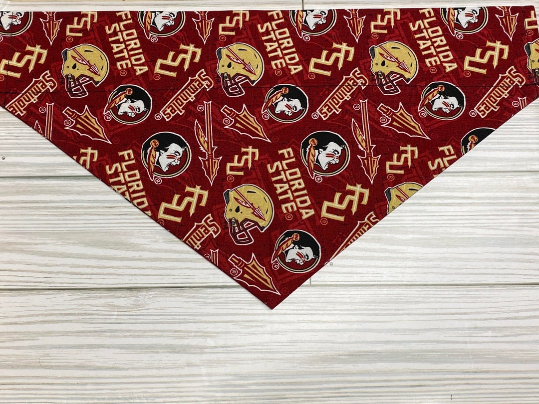 CUSTOM Florida State University FSU Football, Game Day, Seminoles over ...