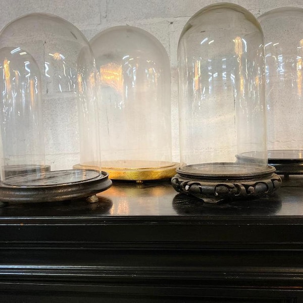 Glass Bell Jars - Etsy