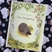 RARE Vintage 1982 Eye-view Library 'the Hedgehog' Hardback Book by ...
