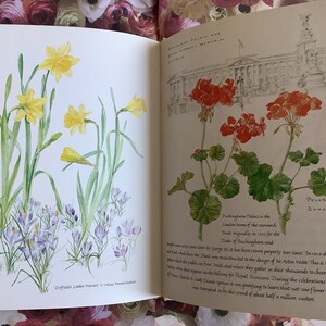 STUNNING Vintage 1982 First Edition 'here's Flowers for You' Hardback ...