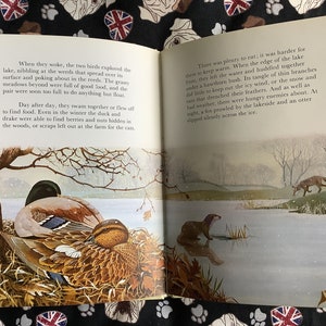 1982 Vintage Children's Book 'eye-view Library 'the Duck' in Hardback ...