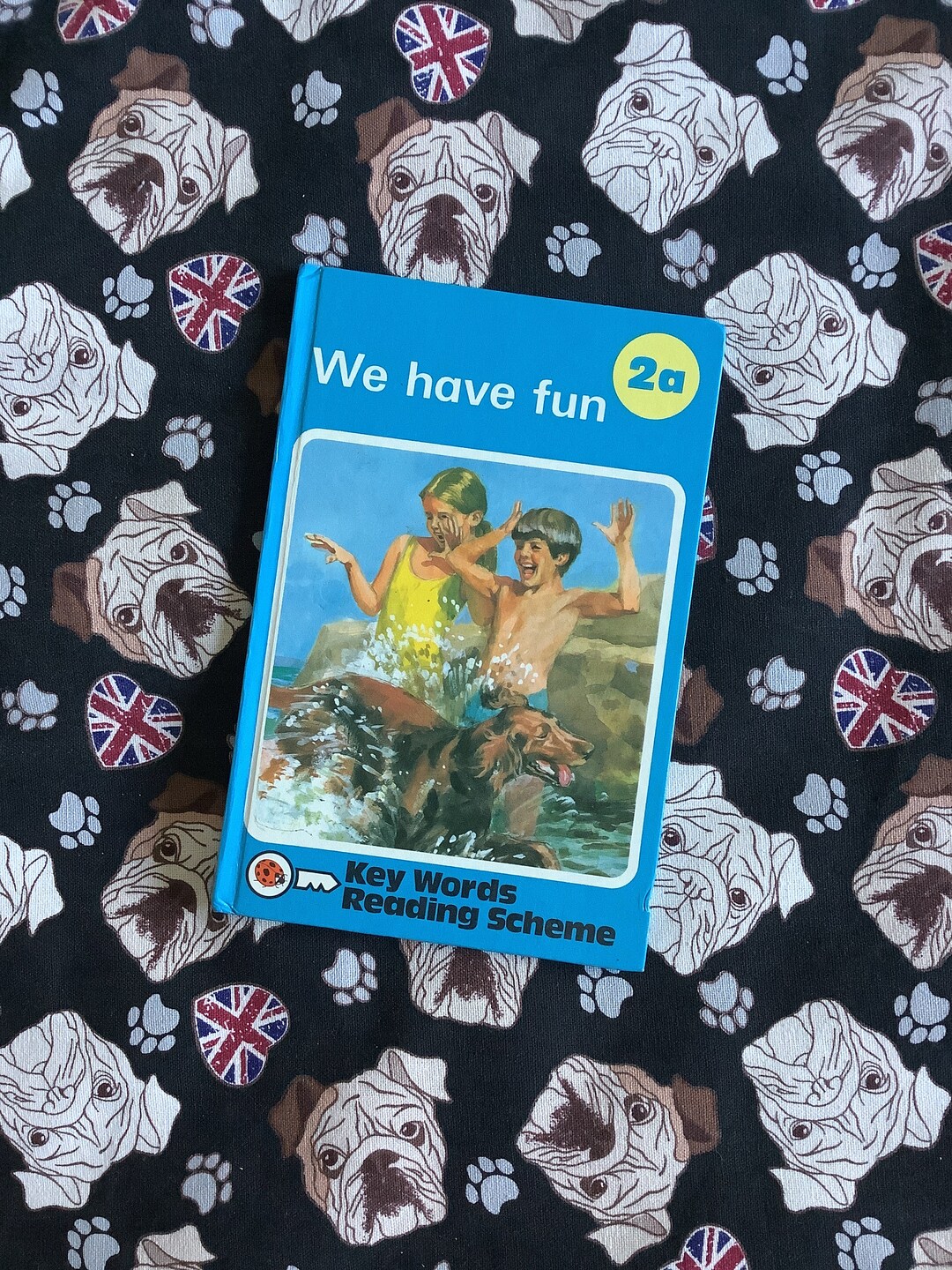 Vintage 1981 2a 'we Have Fun' Ladybird Peter and Jane Key Words Reading ...
