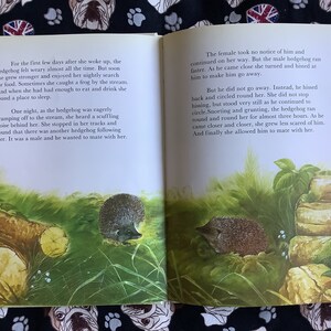 RARE Vintage 1982 Eye-view Library 'the Hedgehog' Hardback Book by ...