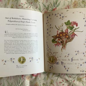 STUNNING Vintage 1999 First Printing 'the Country Flowers of a ...