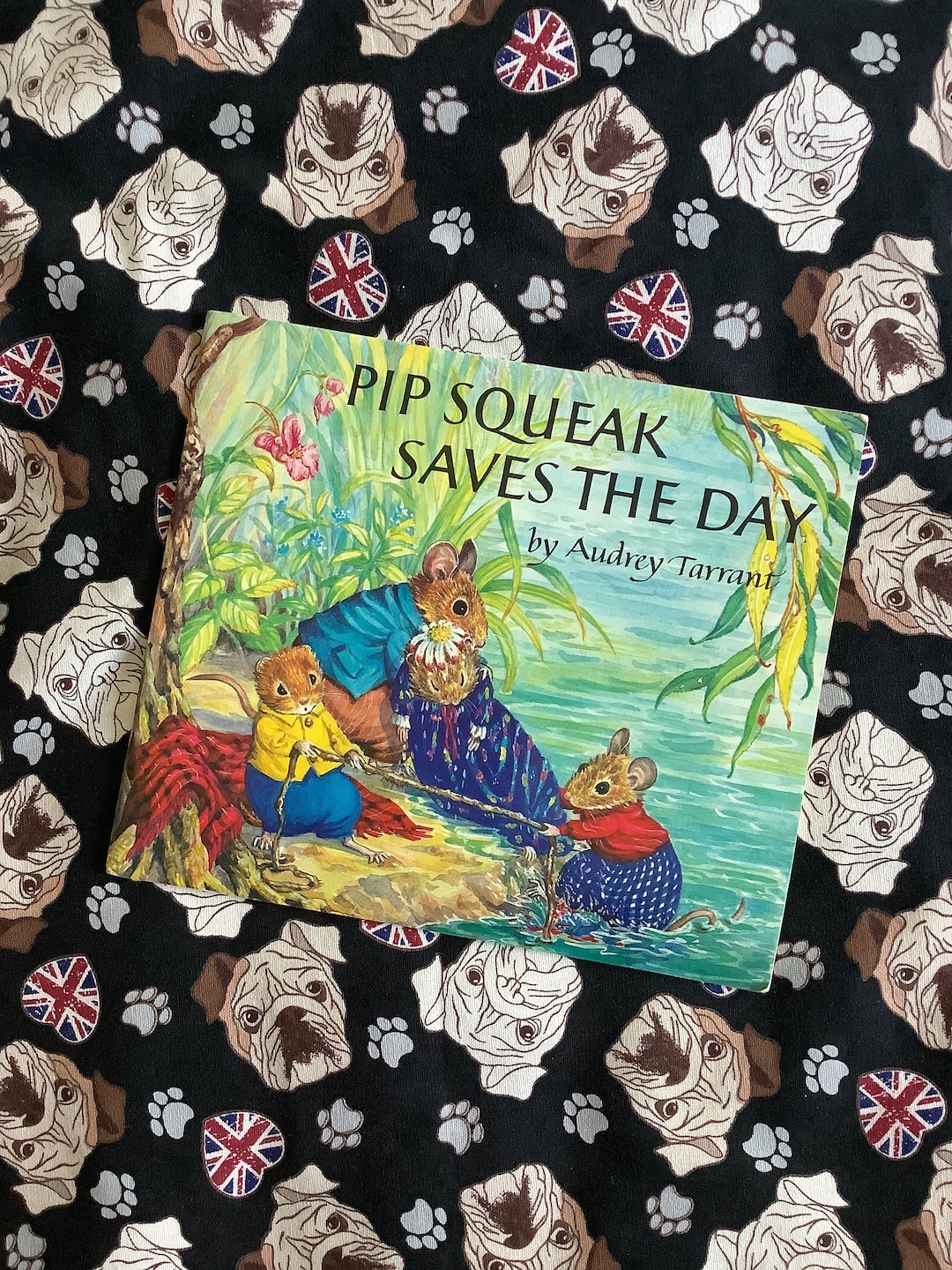 RARE Vintage 1980 'pip Squeak Saves the Day' Paperback Book by Audrey ...