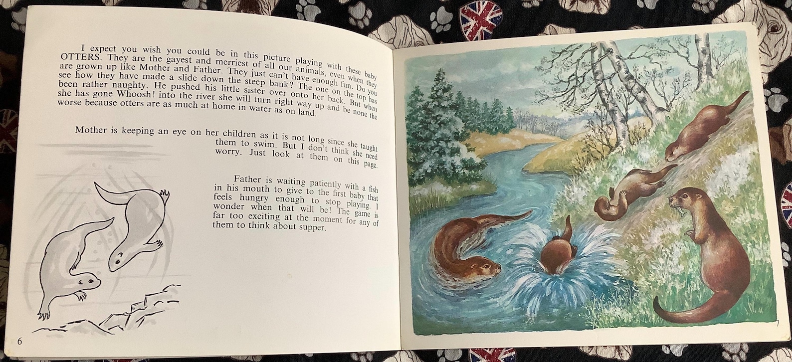 Vintage 1972 Let's Meet Some Baby Animals Book – Ella Bruce ...