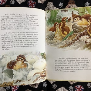 1982 Vintage Children's Book 'eye-view Library 'the Duck' in Hardback ...